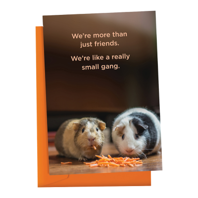 Blackwell Press Small Gang Card | NZ
